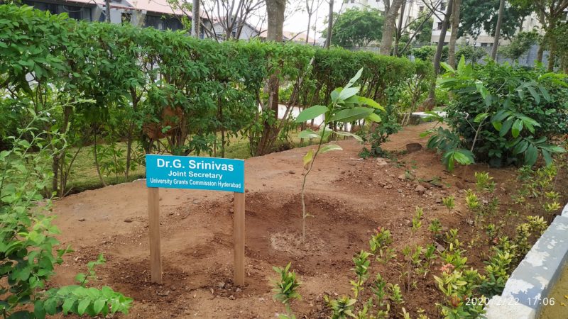 Tree Plantation – SKACAS