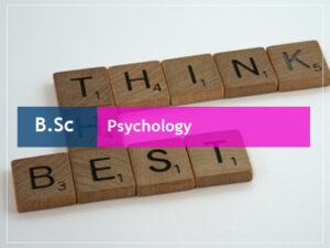 UG PROGRAMMES – SKACAS